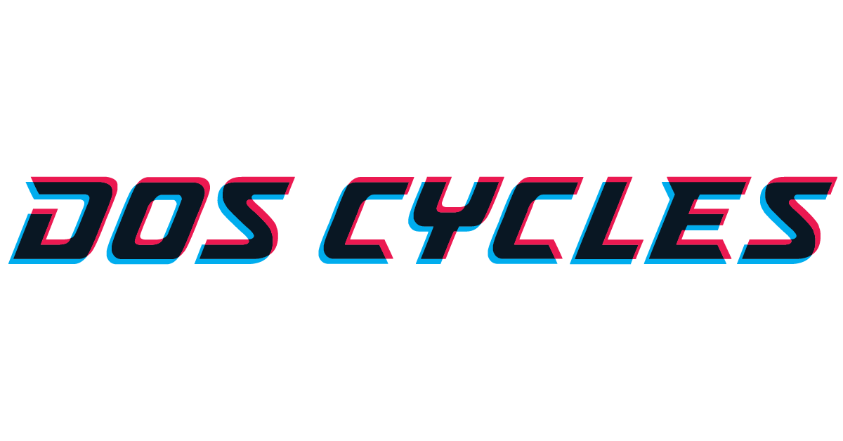 ZADI Fork Lock - Black – Dos Cycles